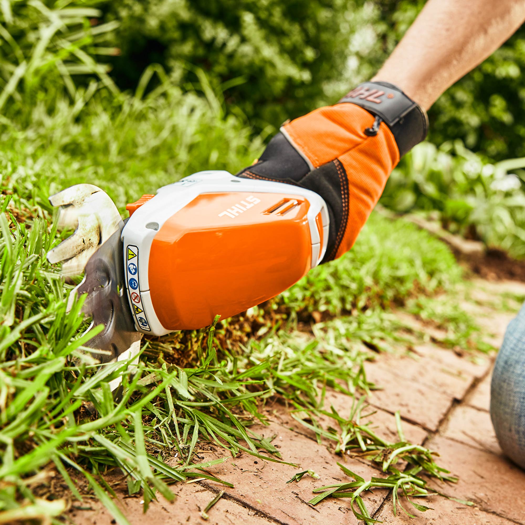 STIHL HSA26 10.8v Shrub Shears - ToolStore UK