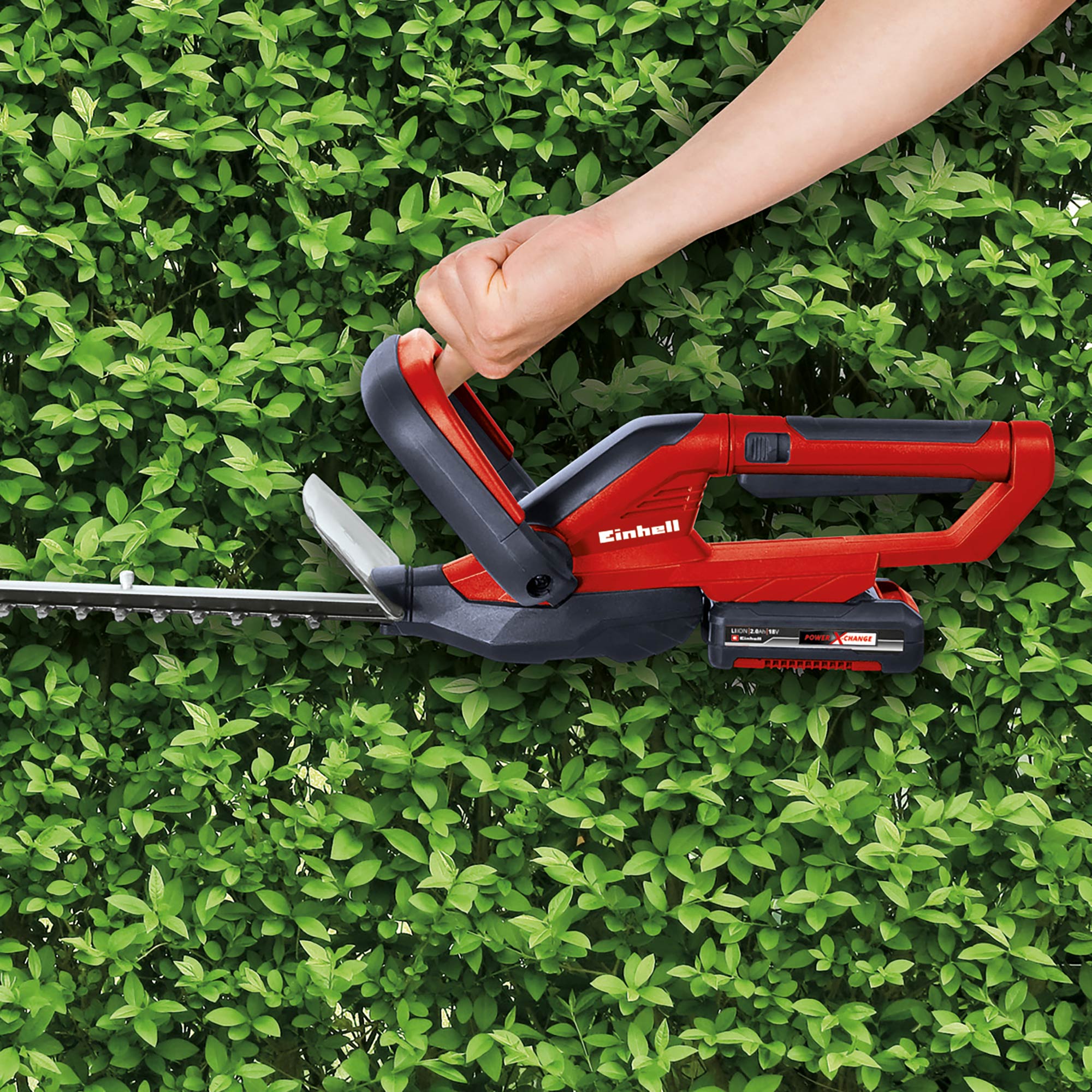 EINHELL GC-CH1855/1LiKit 18v 55cm Hedge Trimmer with 1x2.5Ah Battery ...